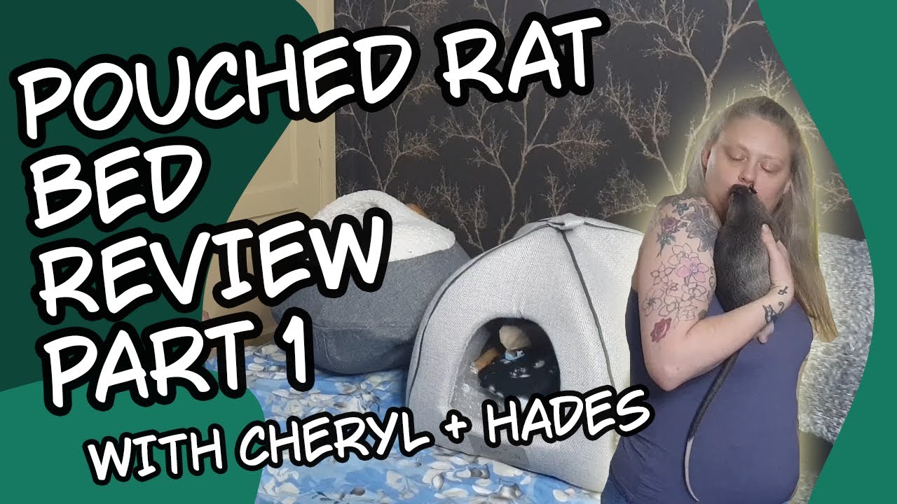 Hades the Giant Rat Beds Review Part 1 - Hades game videos